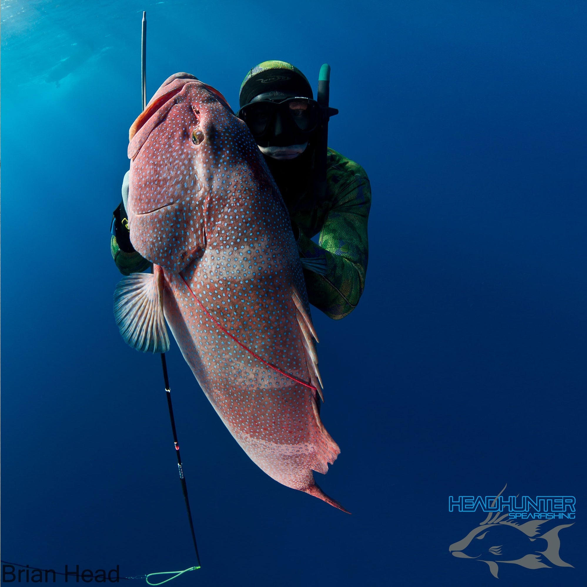Predator Pole Spear | Headhunter Spearfishing | The Headhunter ...