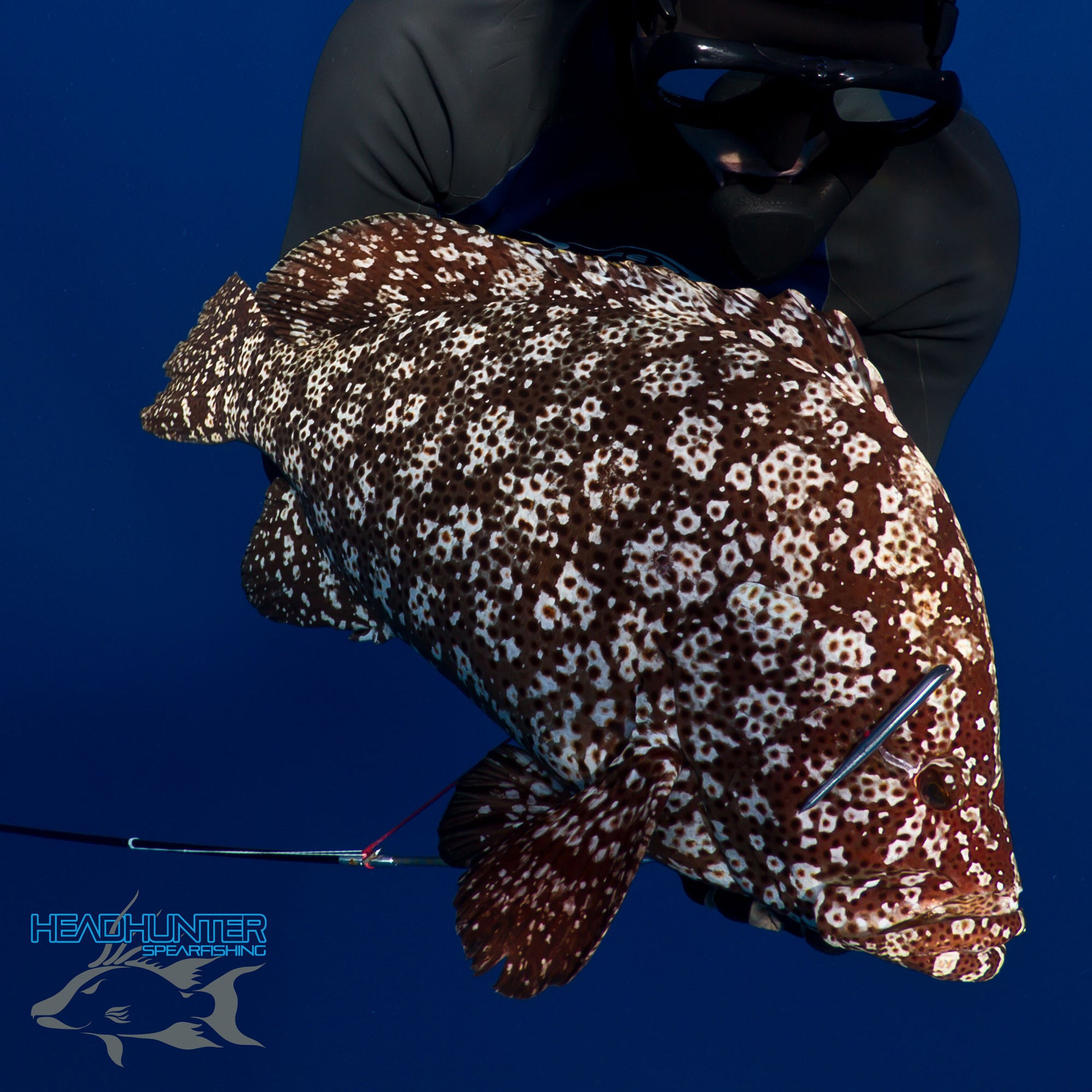 Predator Pole Spear | Headhunter Spearfishing | The Headhunter ...